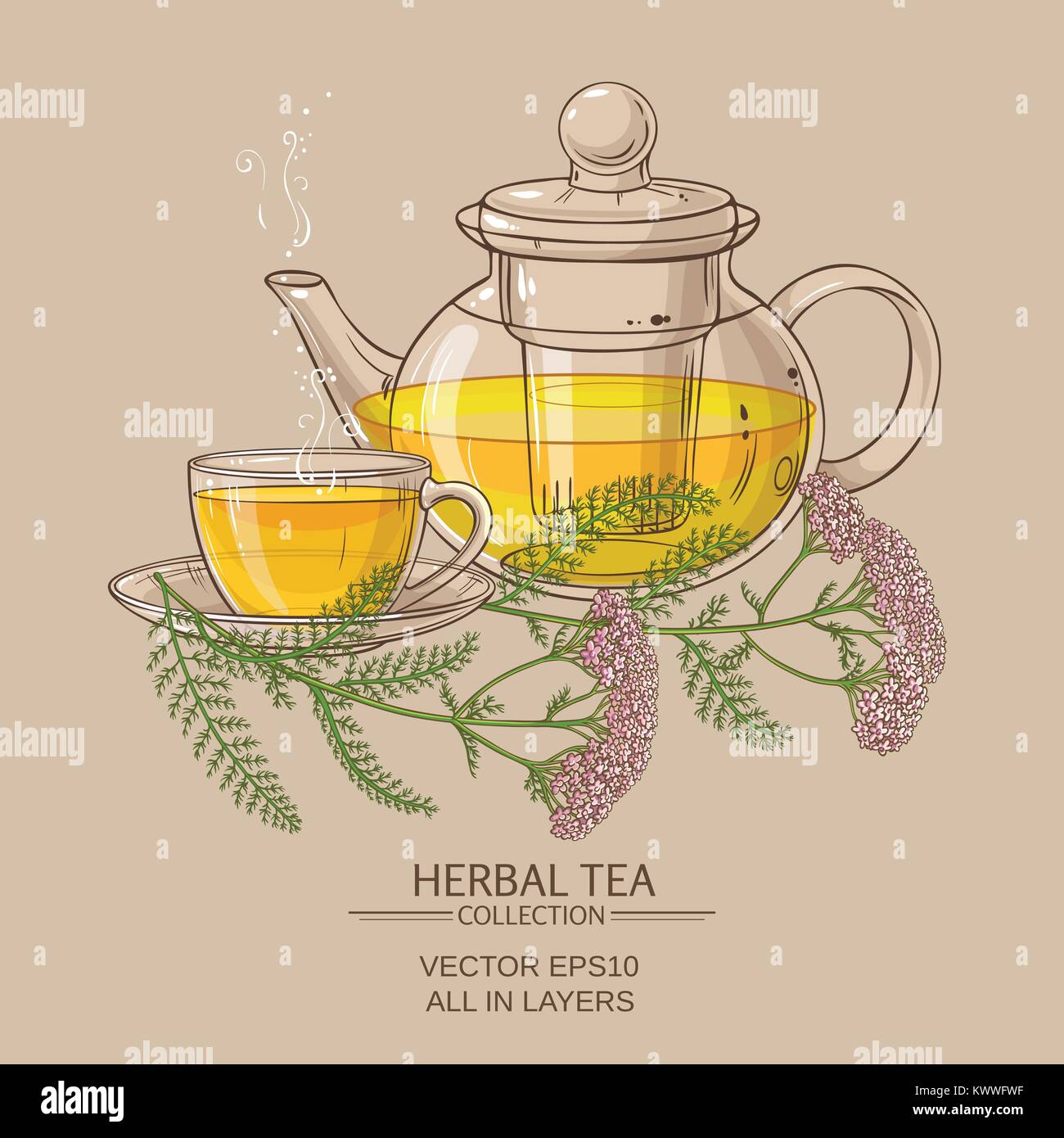 cup of yarrow tea and teapot on color background Stock Vector Image ...