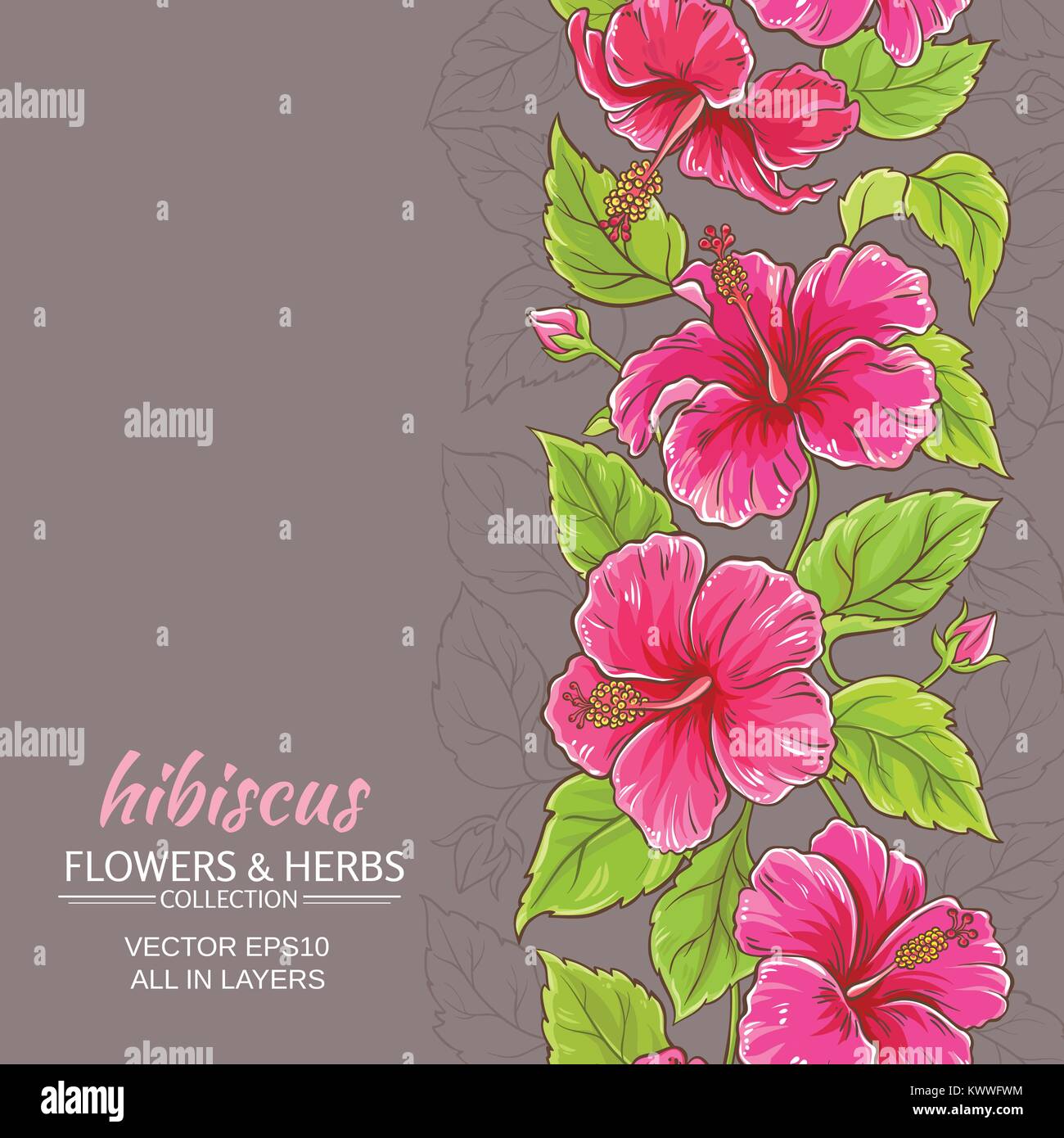 Hibiscus cartoon Stock Vector Images - Alamy