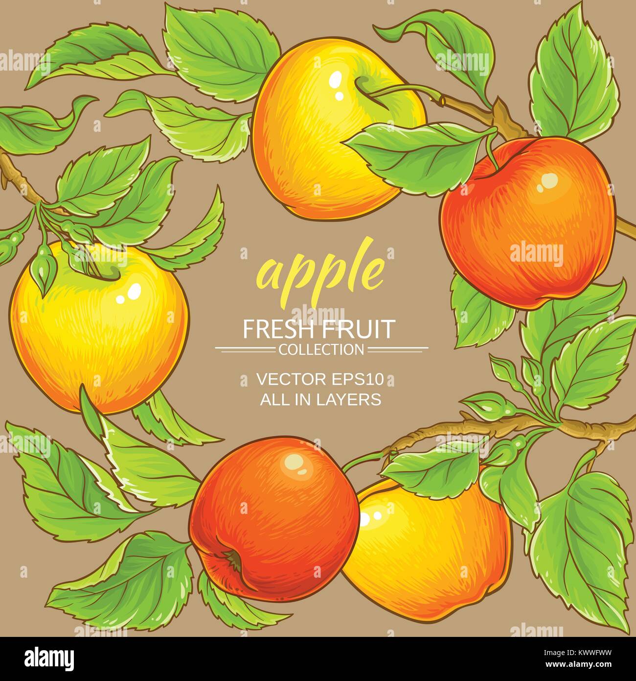 apple branches vector frame on color background Stock Vector Image ...