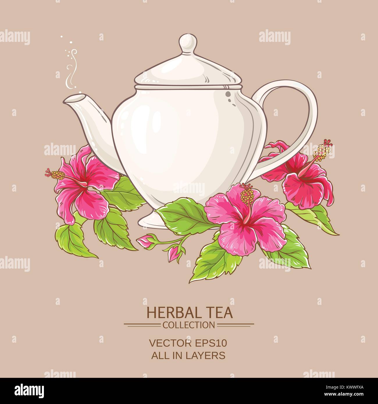 Hibiscus tea flower Stock Vector Images - Alamy
