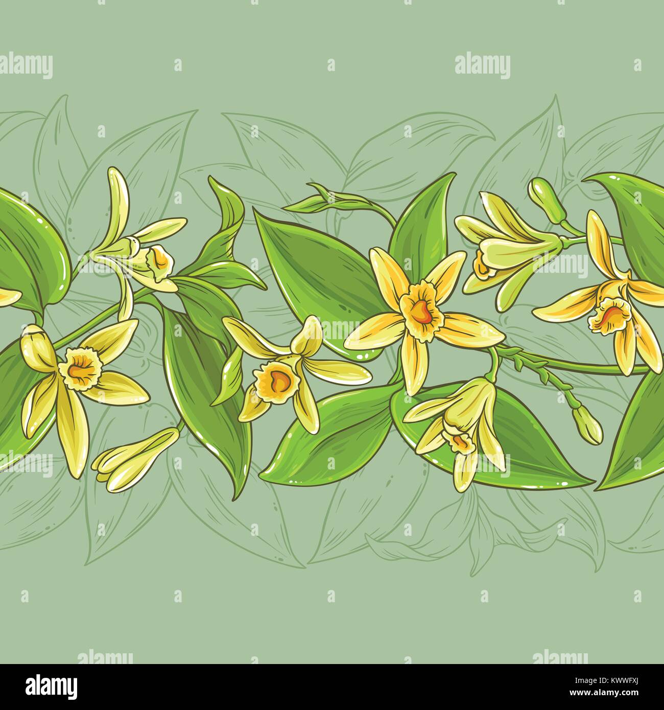 vanilla flowers vector pattern on color background Stock Vector Image ...