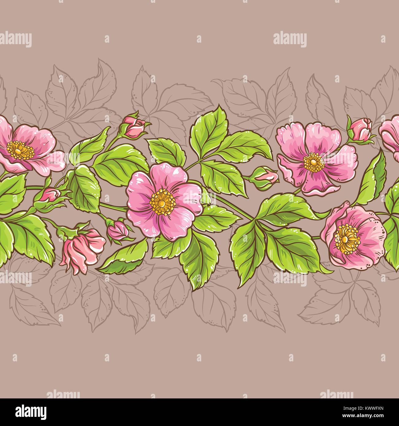 wild rose flowers vector pattern on color background Stock Vector Image ...