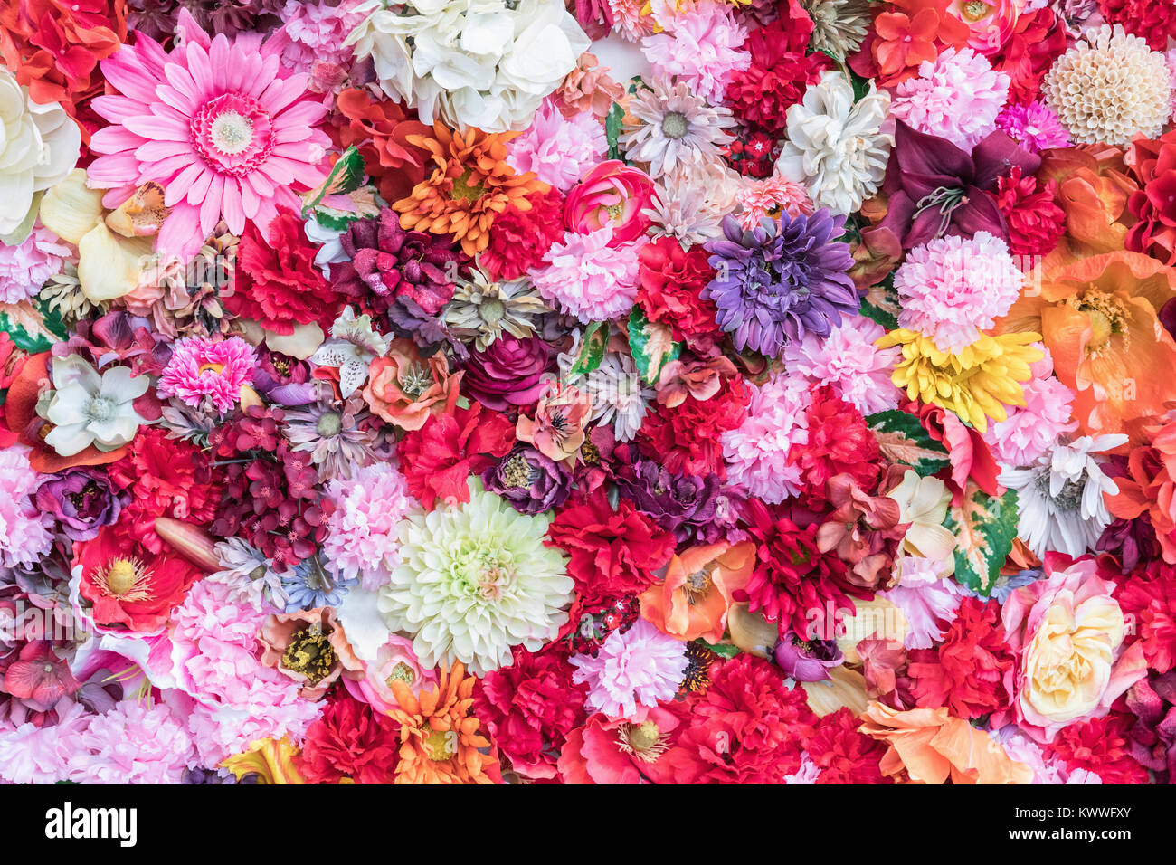 Floral colored background. Many flowers arranged in the substrate. The ...