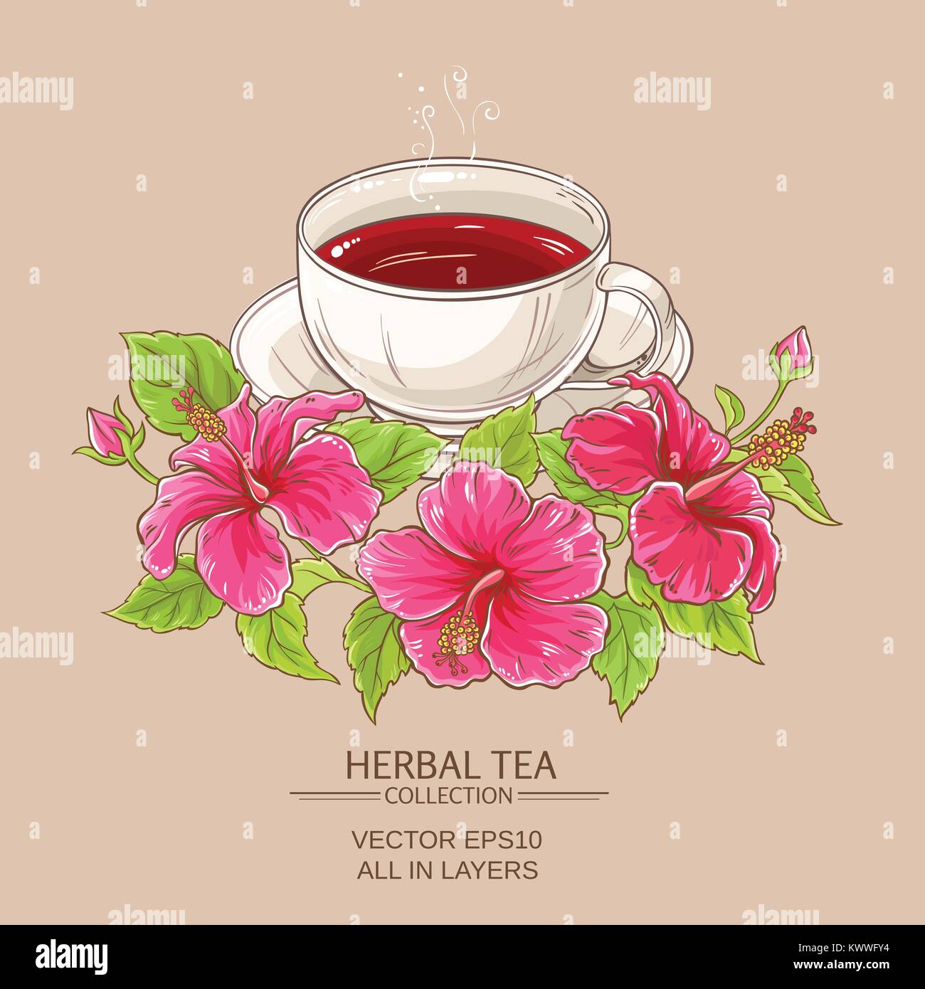 Hibiscus tea flower Stock Vector Images - Alamy