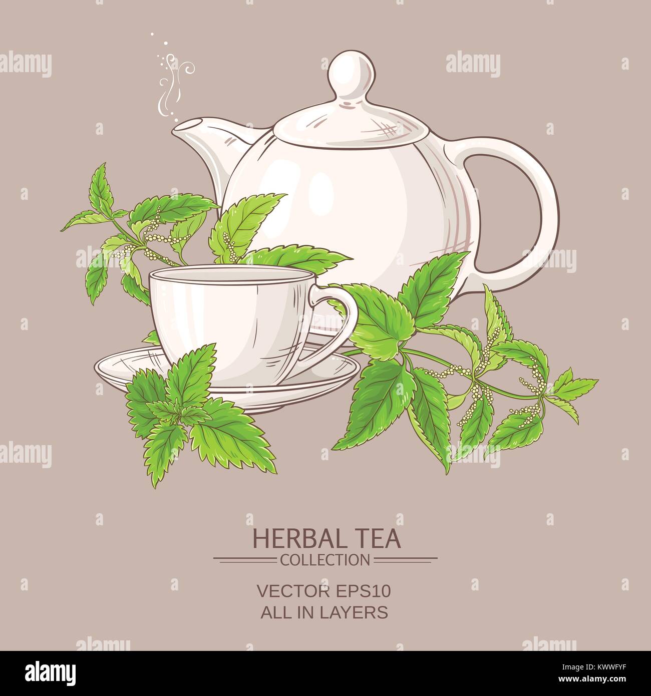 cup of nettle tea and teapot on color background Stock Vector Image ...