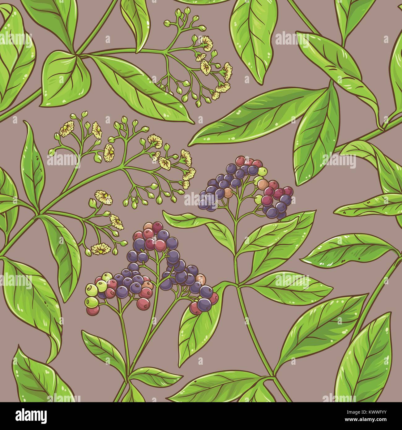 allspice branches vector pattern on color background Stock Vector Image & Art - Alamy