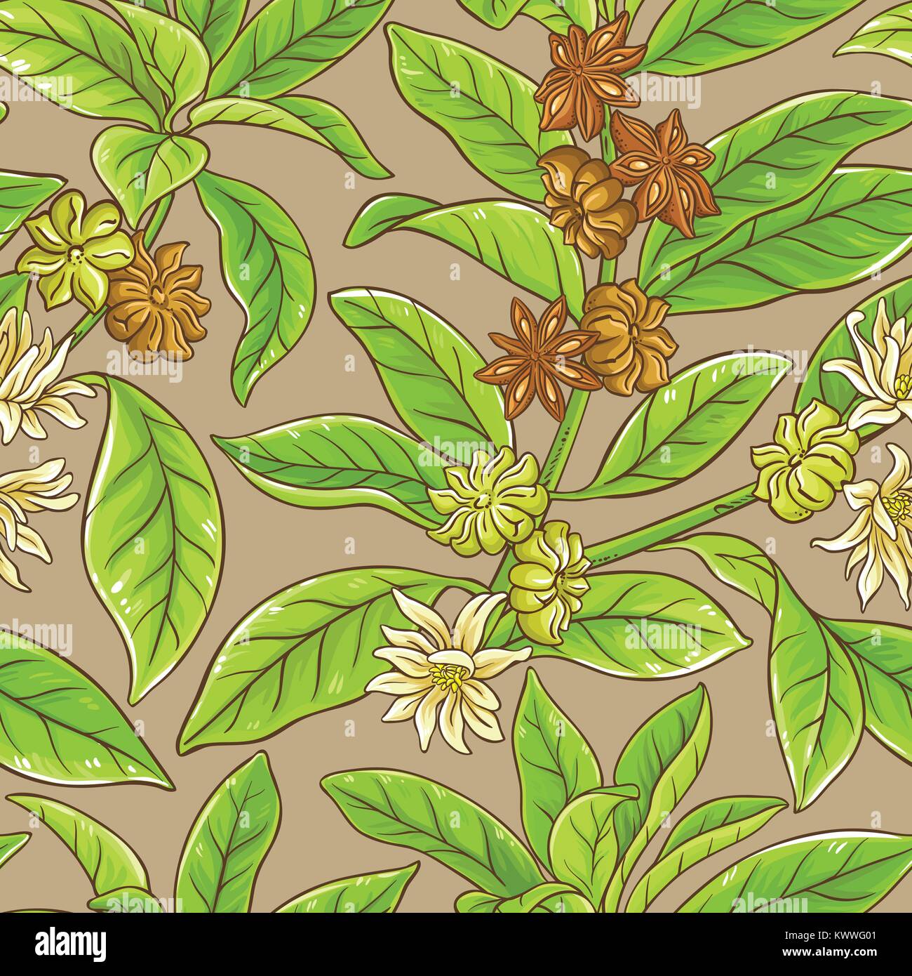 anise branches vector pattern on color background Stock Vector Image & Art - Alamy