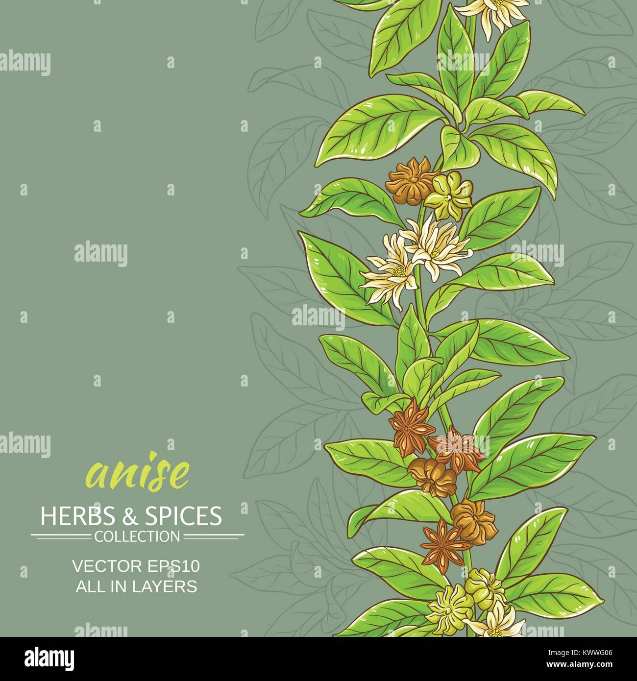 anise branches vector pattern on color background Stock Vector Image & Art - Alamy