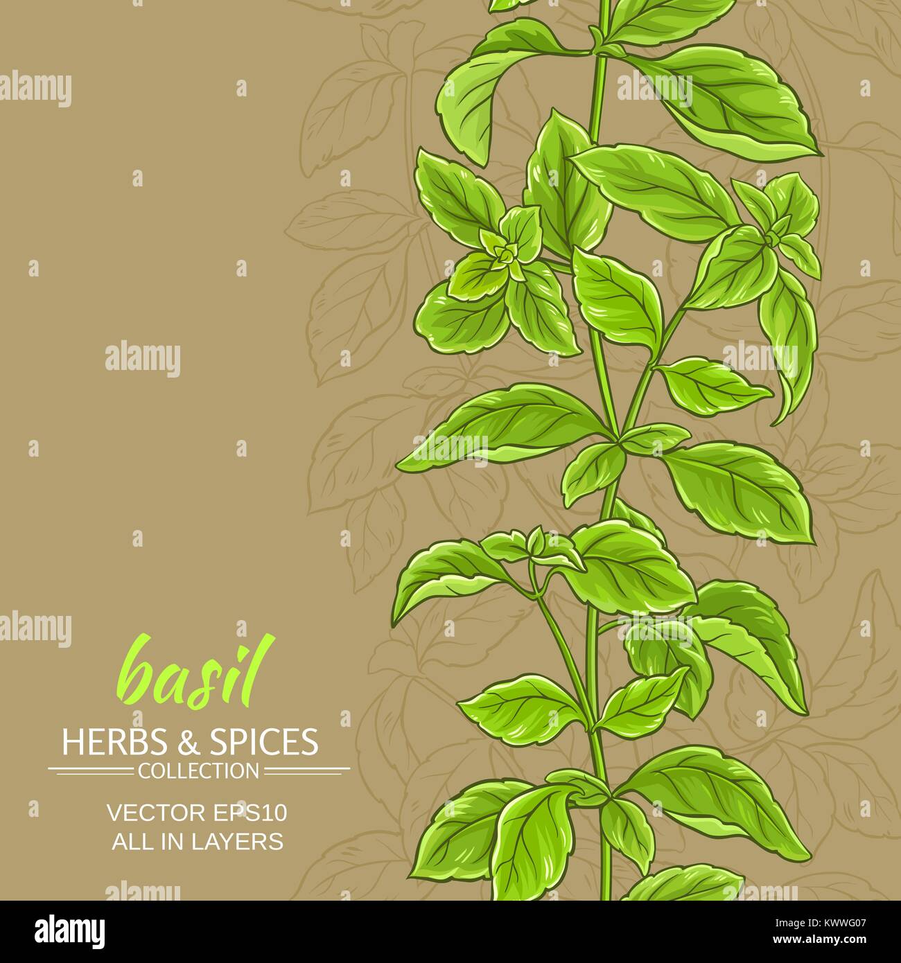 basil leaves vector pattern on color background Stock Vector Image ...