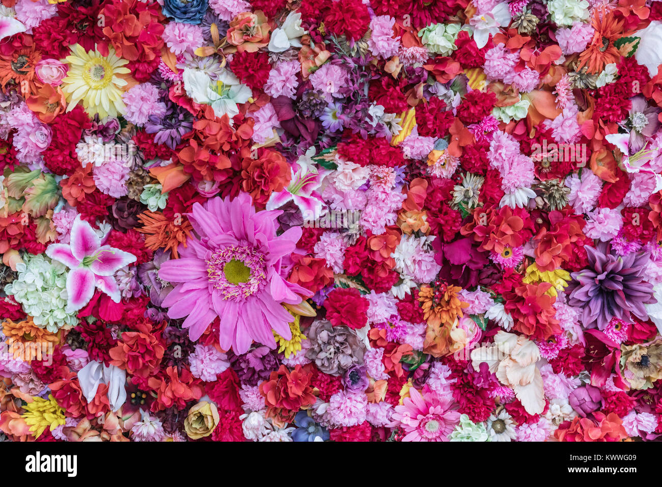 Floral colored background. Many flowers arranged in the substrate. The ...