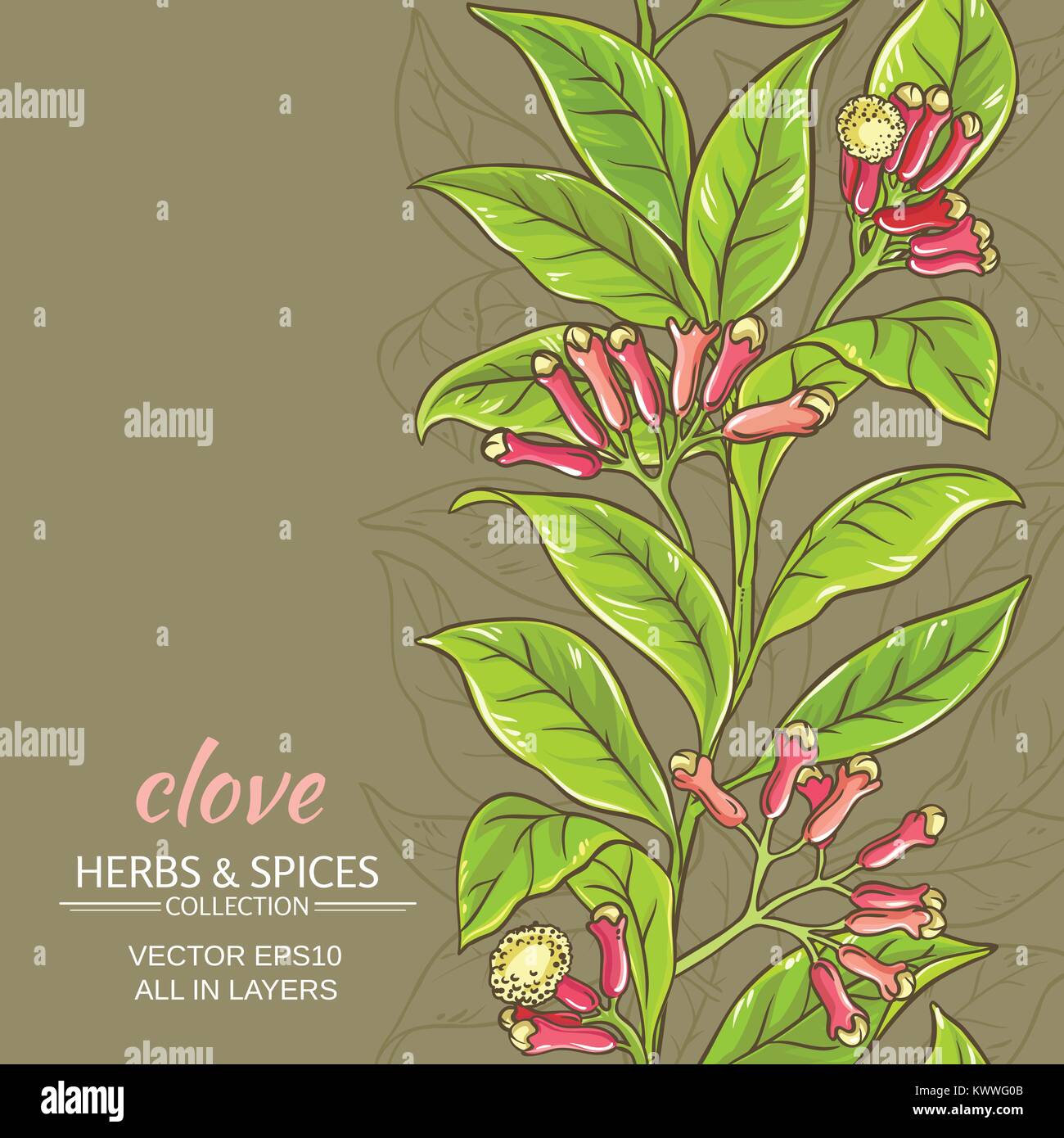 clove branches vector pattern on color background Stock Vector Image ...
