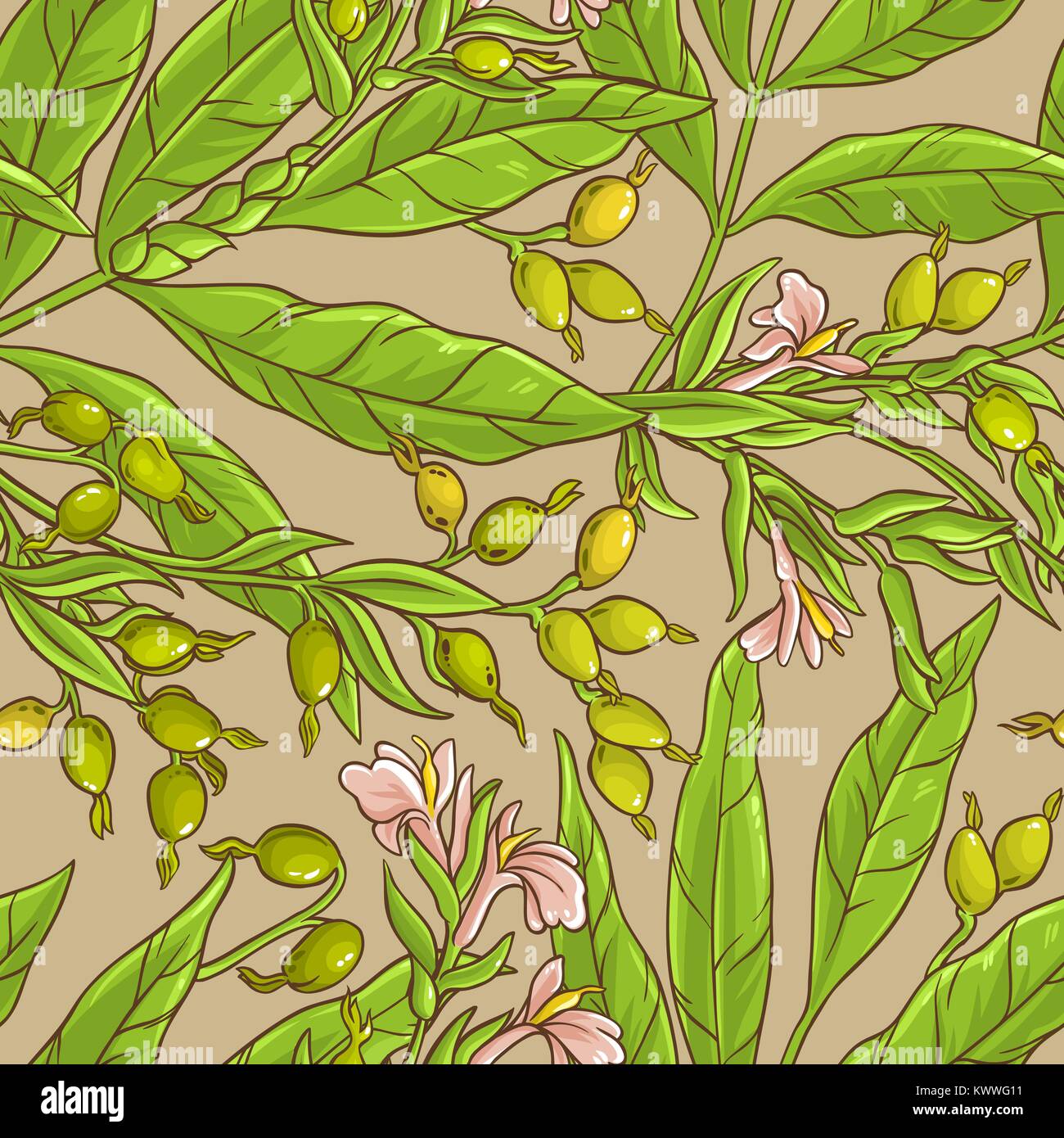 cardamom branches vector pattern on color background Stock Vector Image ...