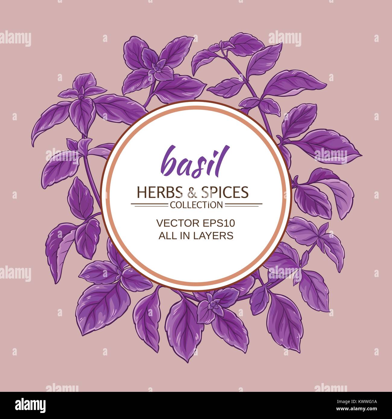 basil leaves vector frame on color background Stock Vector Image & Art ...