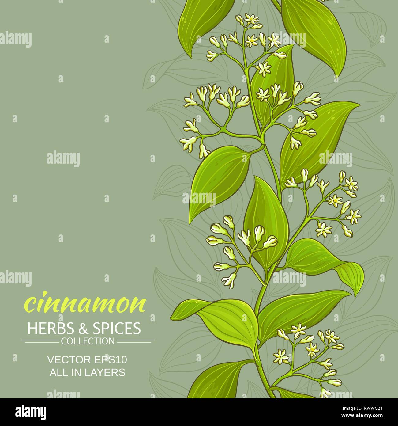 cinnamon branches vector pattern on color background Stock Vector Image ...