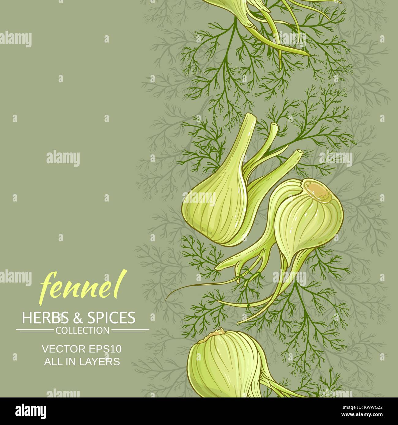 Fennel Stock Vector Images - Alamy