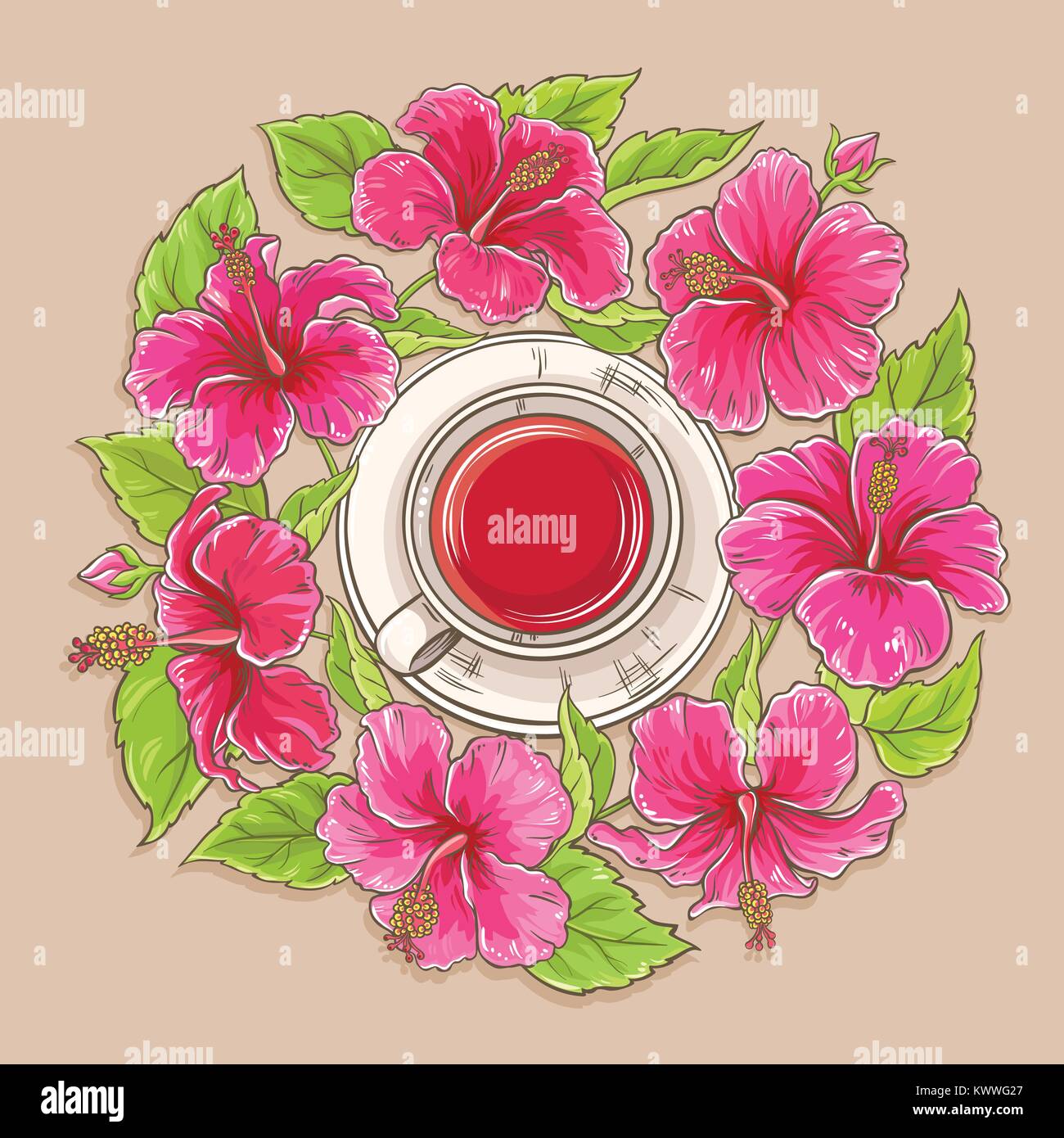 Hibiscus tea flower Stock Vector Images - Alamy