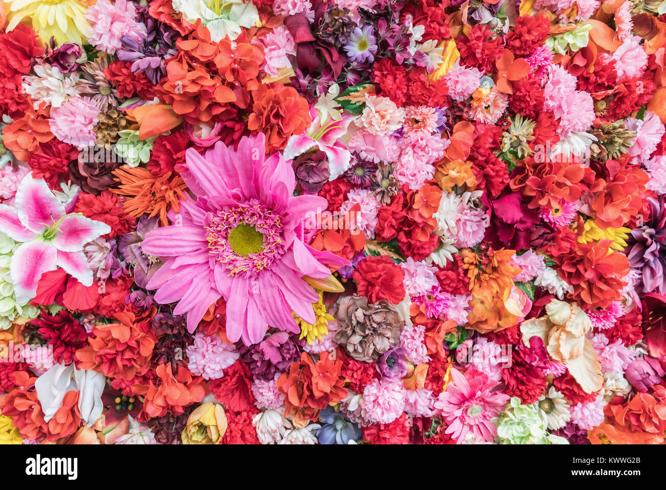 Floral colored background. Many flowers arranged in the substrate. The ...