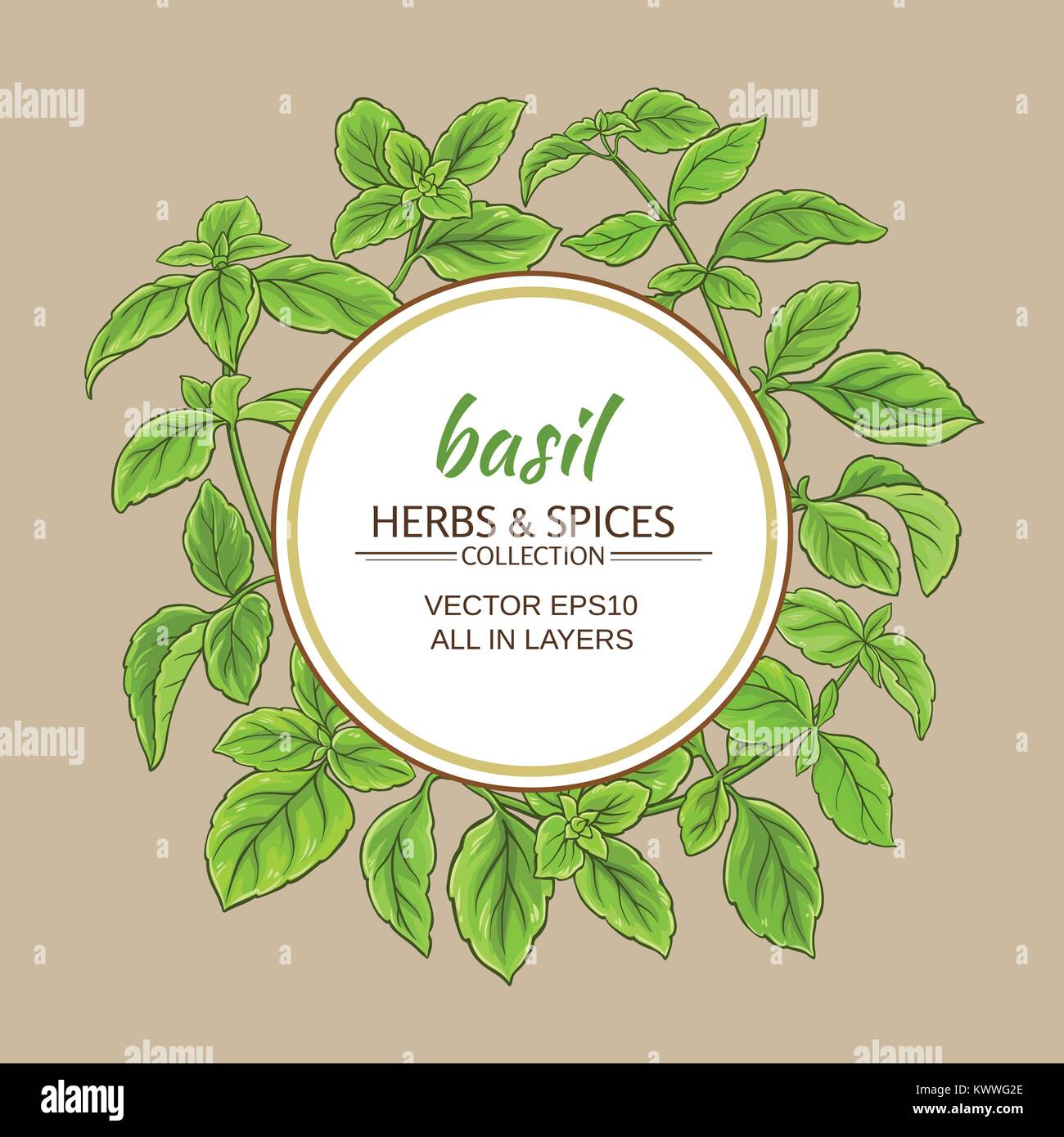 basil leaves vector frame on color background Stock Vector Image & Art ...