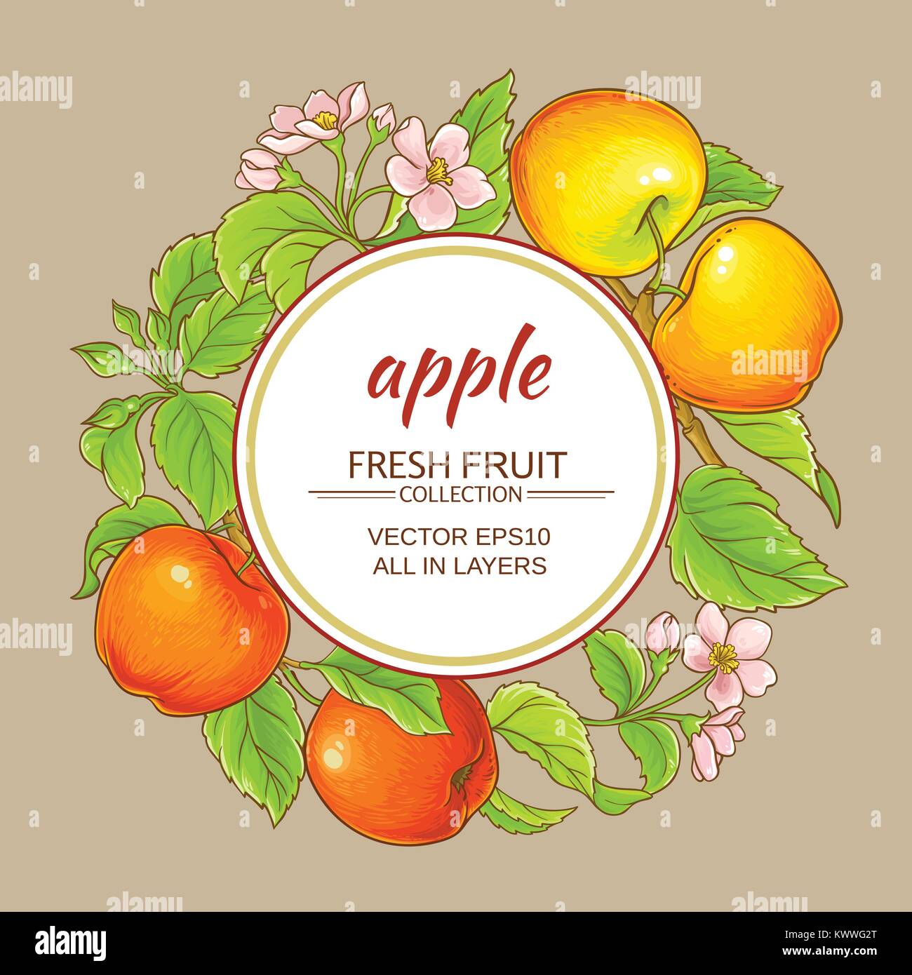 apple branches vector frame on color background Stock Vector Image ...