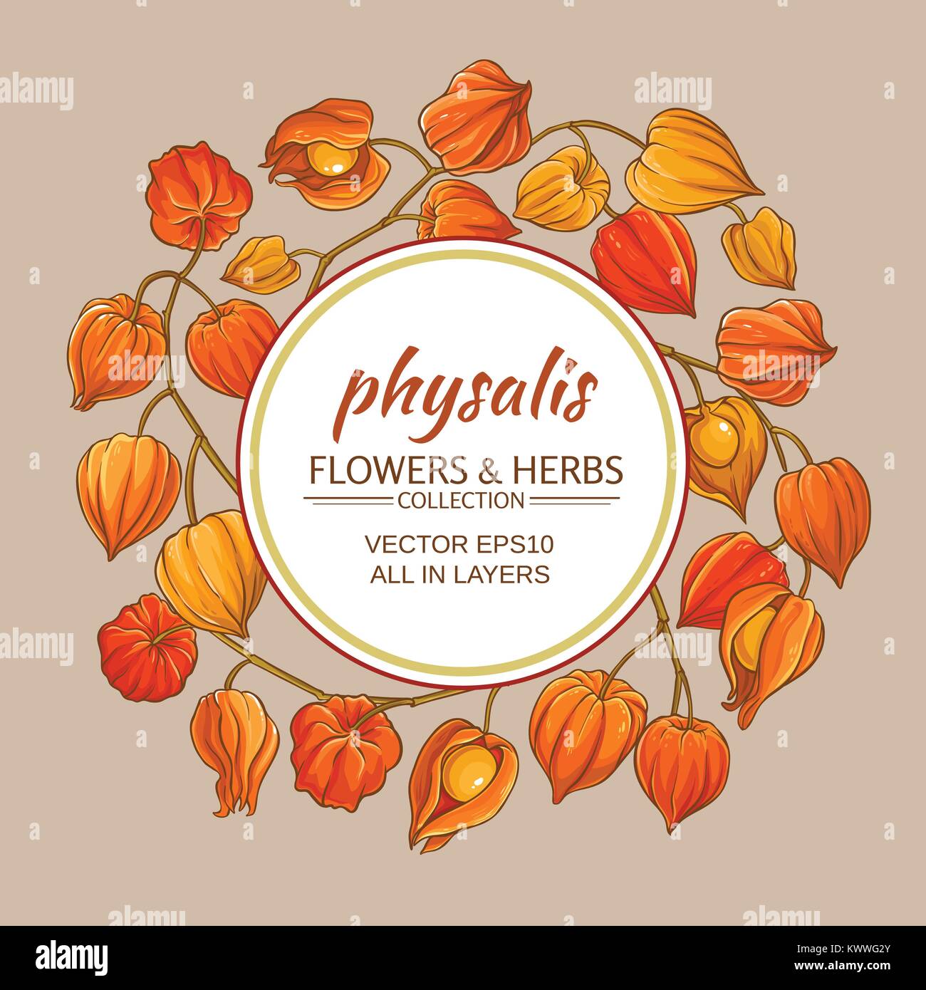 Fruit on ground Stock Vector Images - Alamy