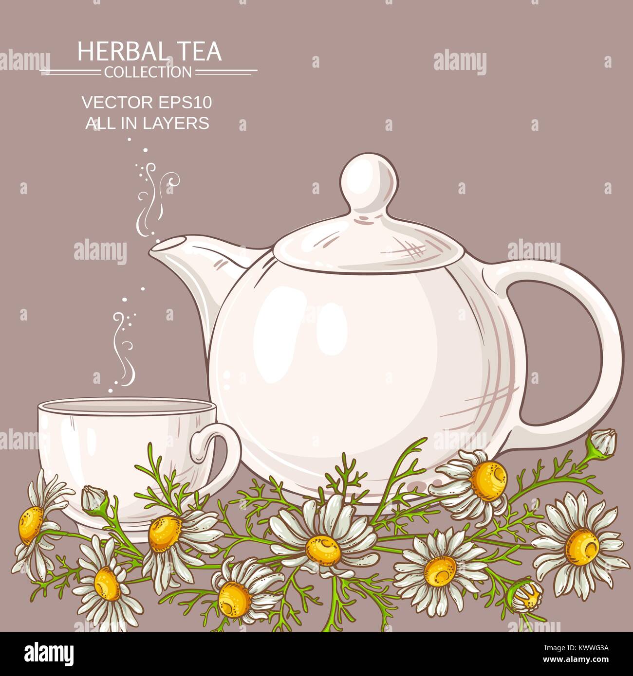 cup of chamomile tea and teapot on color background Stock Vector Image ...