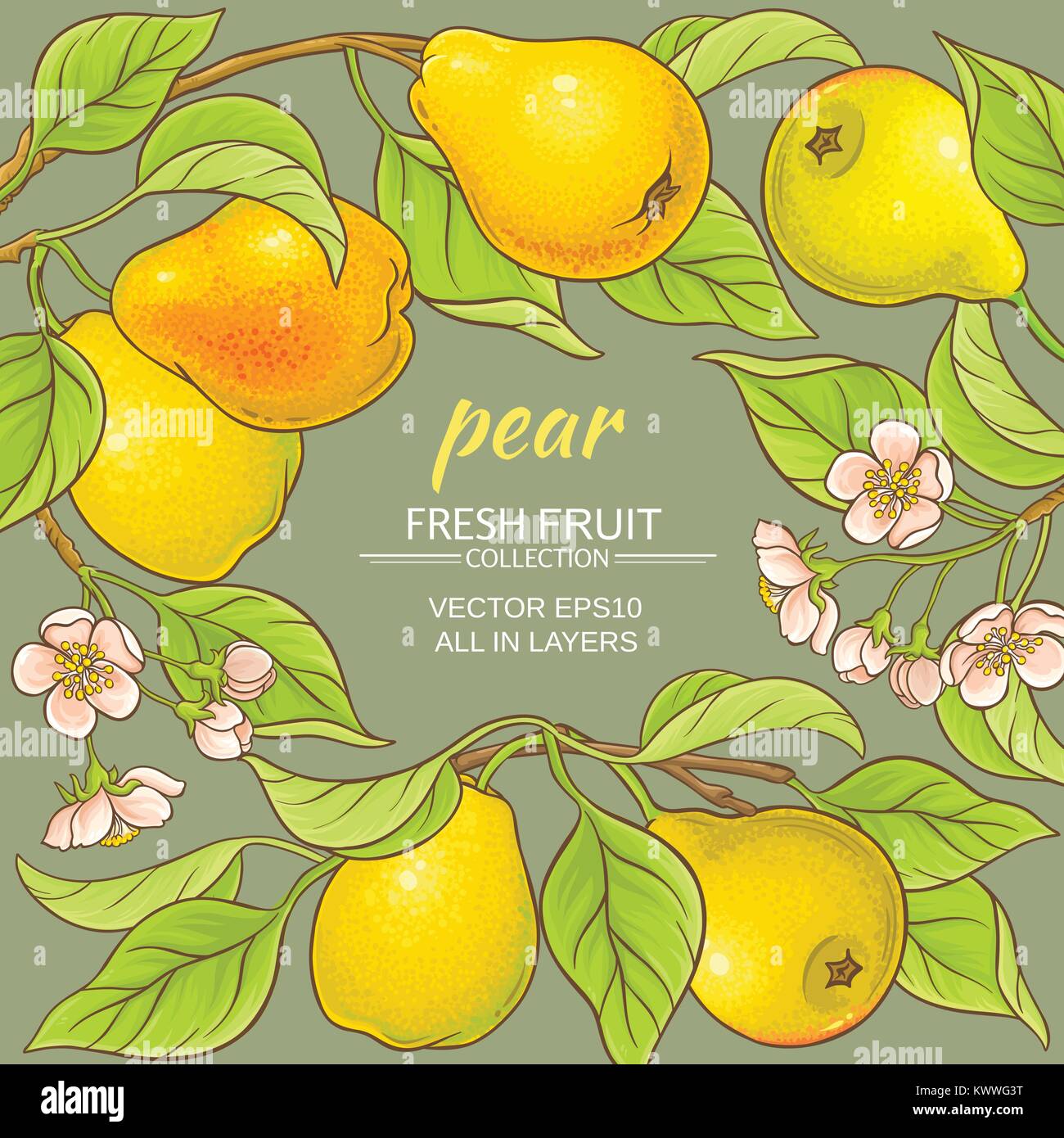 pear branches vector frame on color background Stock Vector Image & Art ...
