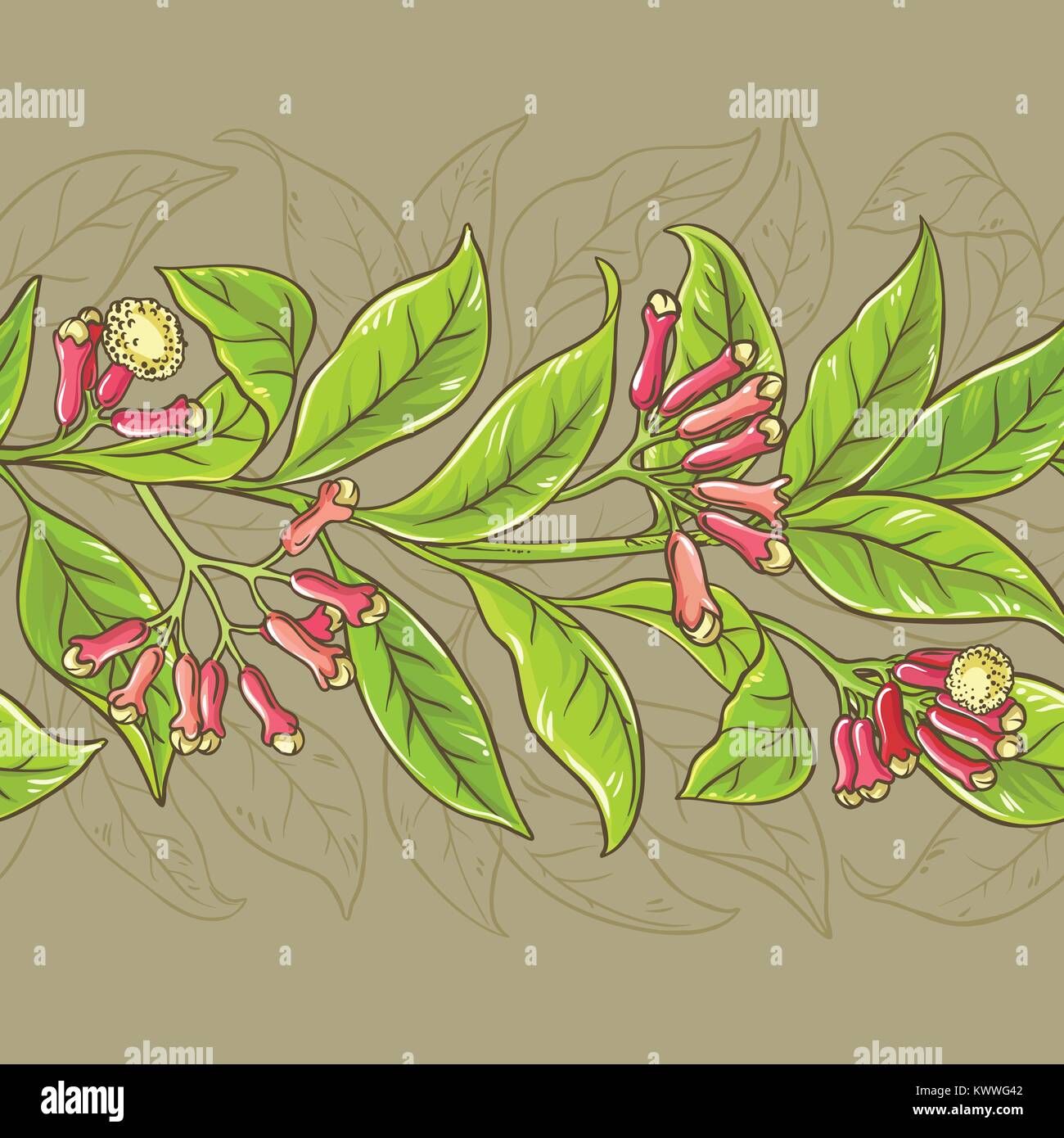 Clove plant hi-res stock photography and images - Alamy