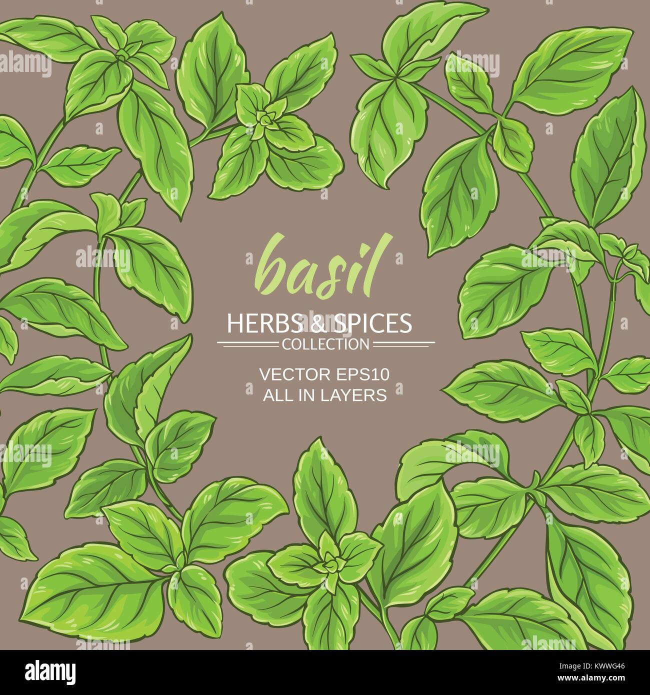 basil leaves vector frame on color background Stock Vector Image & Art ...