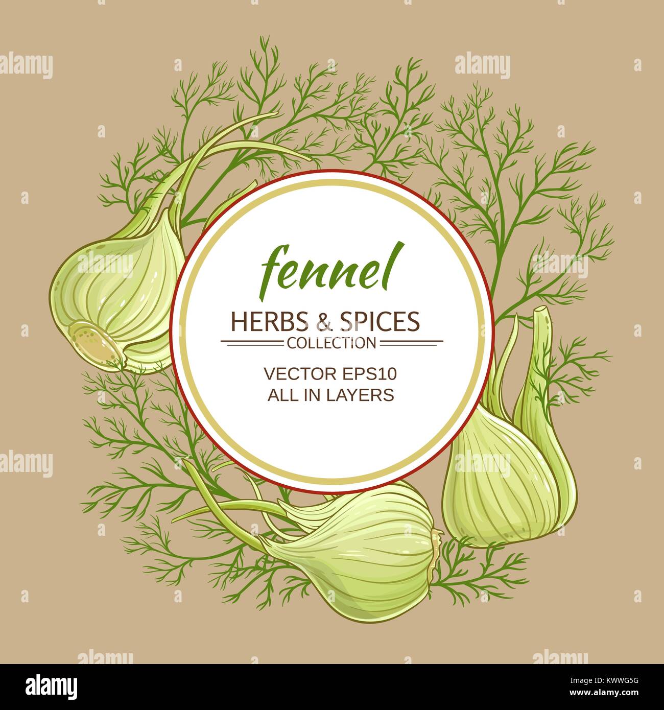 fennel plant vector frame on color background Stock Vector Image & Art ...