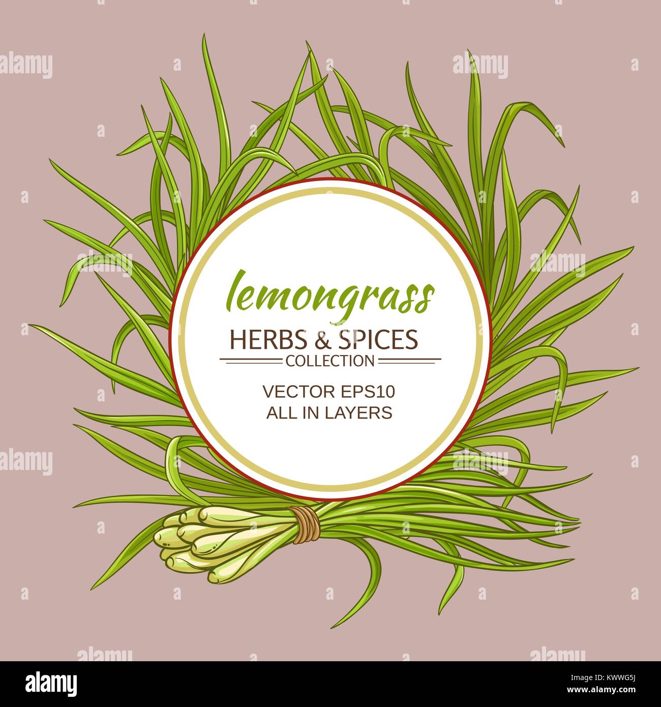 lemongrass plant vector frame on color background Stock Vector Image ...