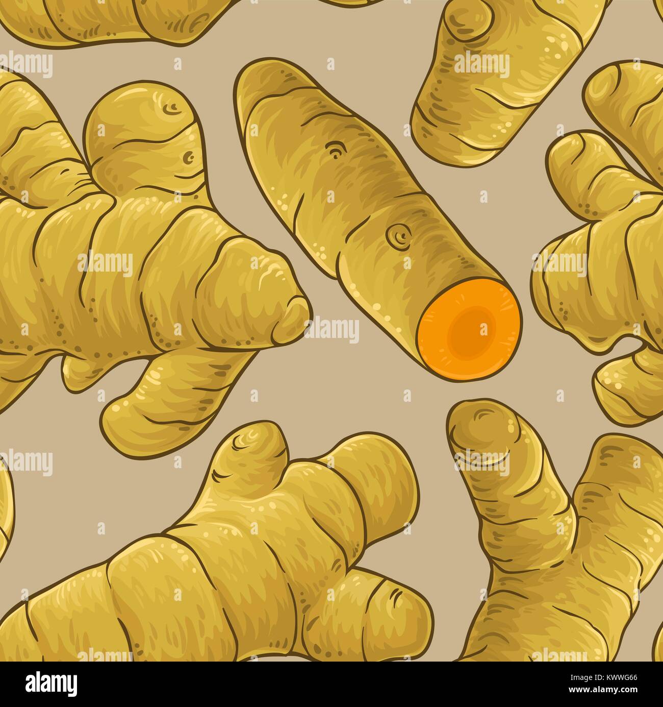 Turmeric root Stock Vector Images - Alamy