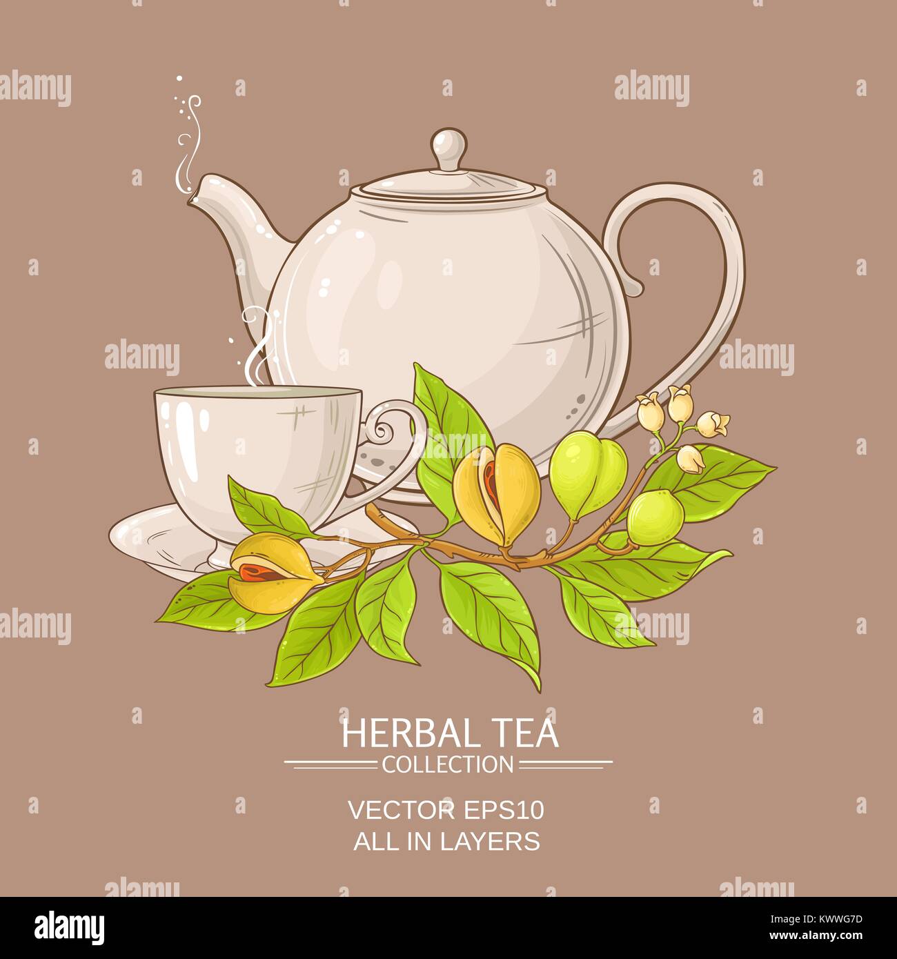 nutmeg tea vector illustration on color background Stock Vector Image ...
