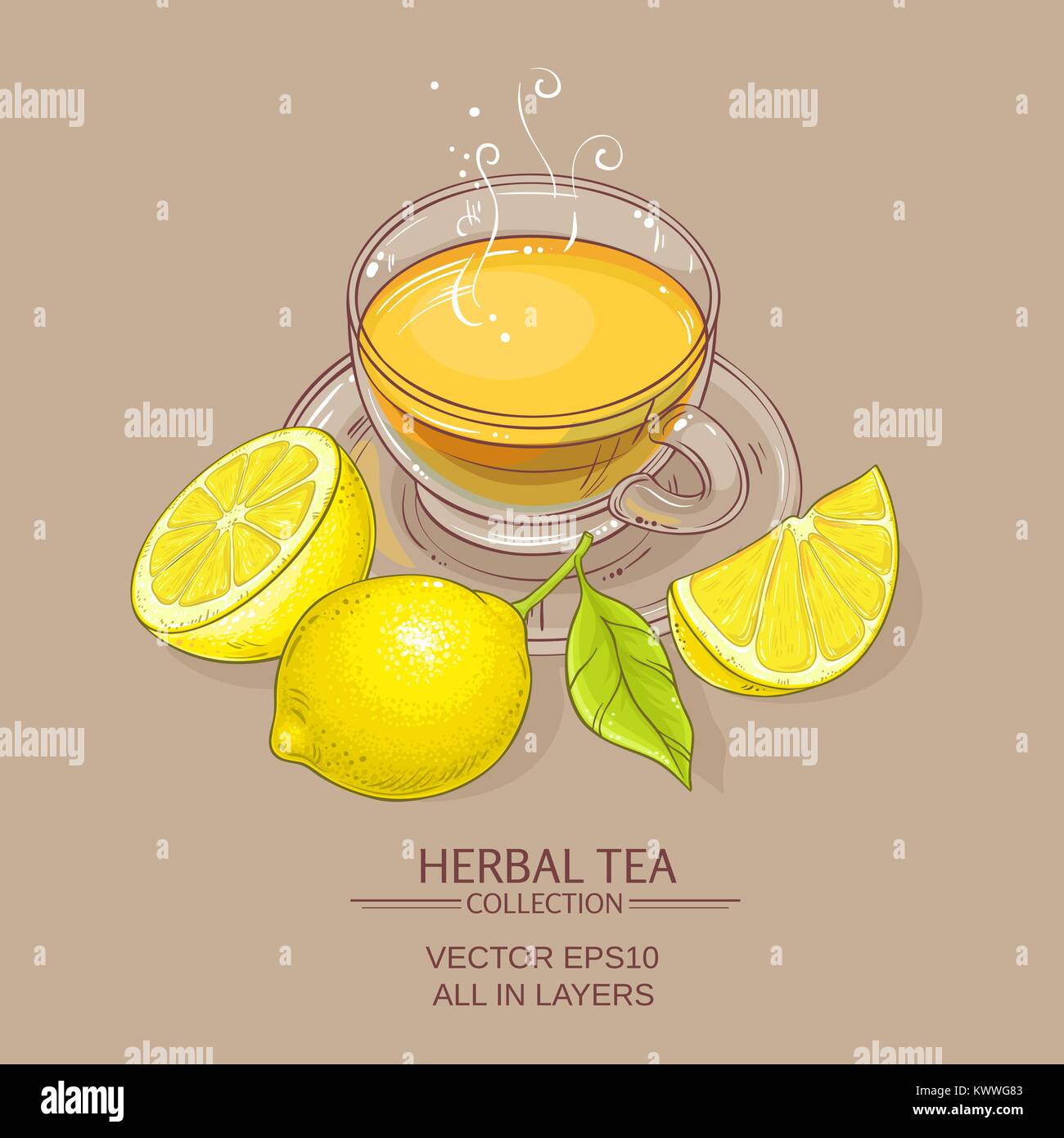 Tea lemon leaf Stock Vector Images - Alamy