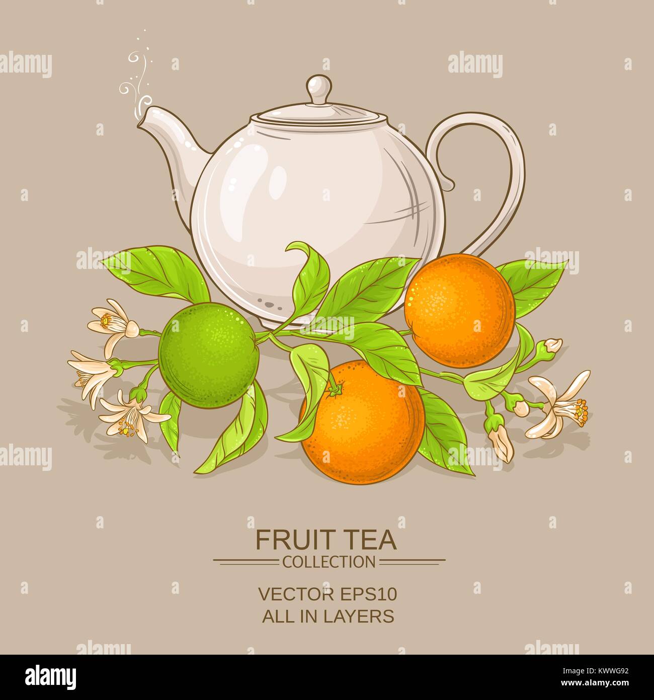 orange tea in teapot on color background Stock Vector Image & Art - Alamy