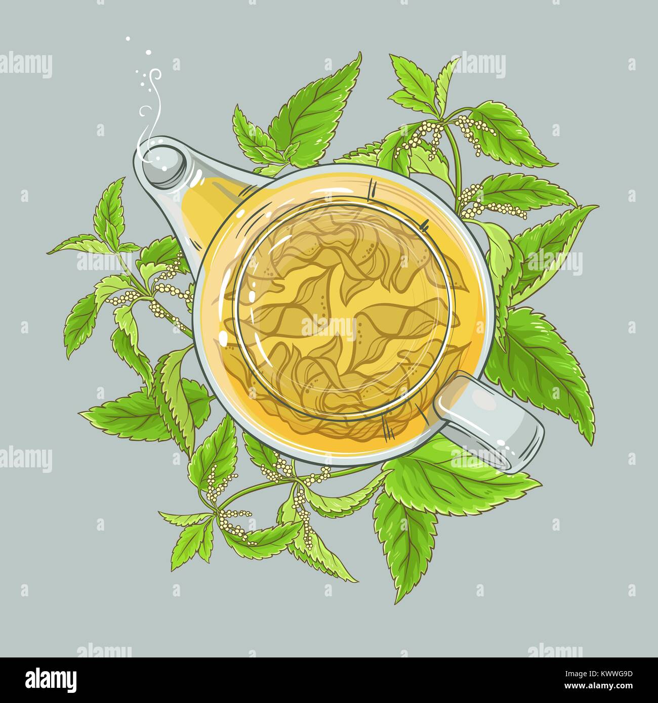 Nettle background Stock Vector Images - Alamy
