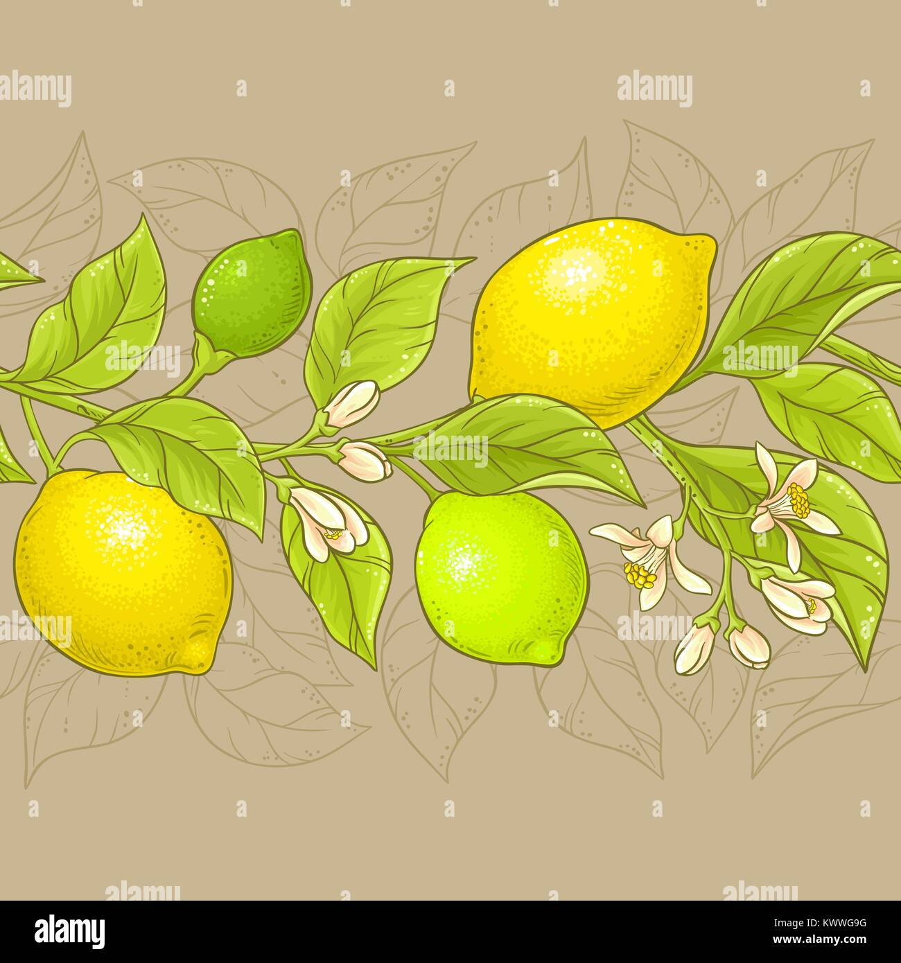 Lemon color background hi-res stock photography and images - Alamy