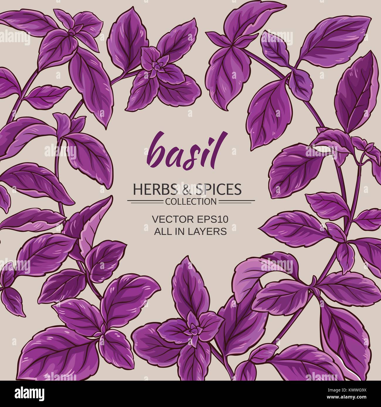 basil leaves vector frame on color background Stock Vector Image & Art ...