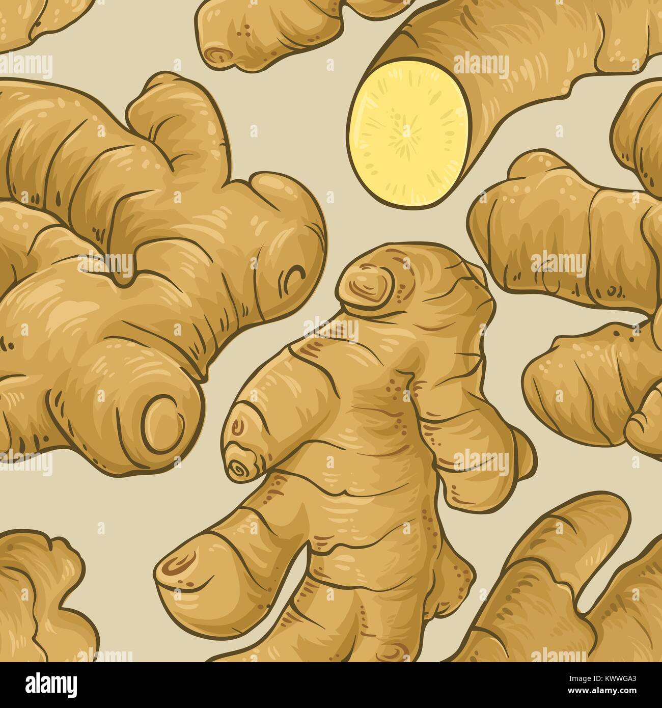 Ginger root, color background Stock Vector Images - Alamy