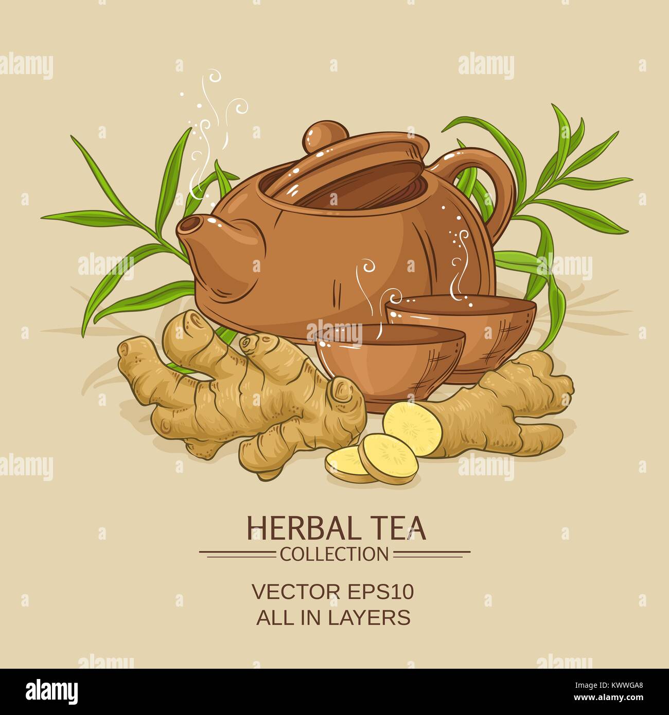 ginger tea vector illustration on color background Stock Vector Image ...