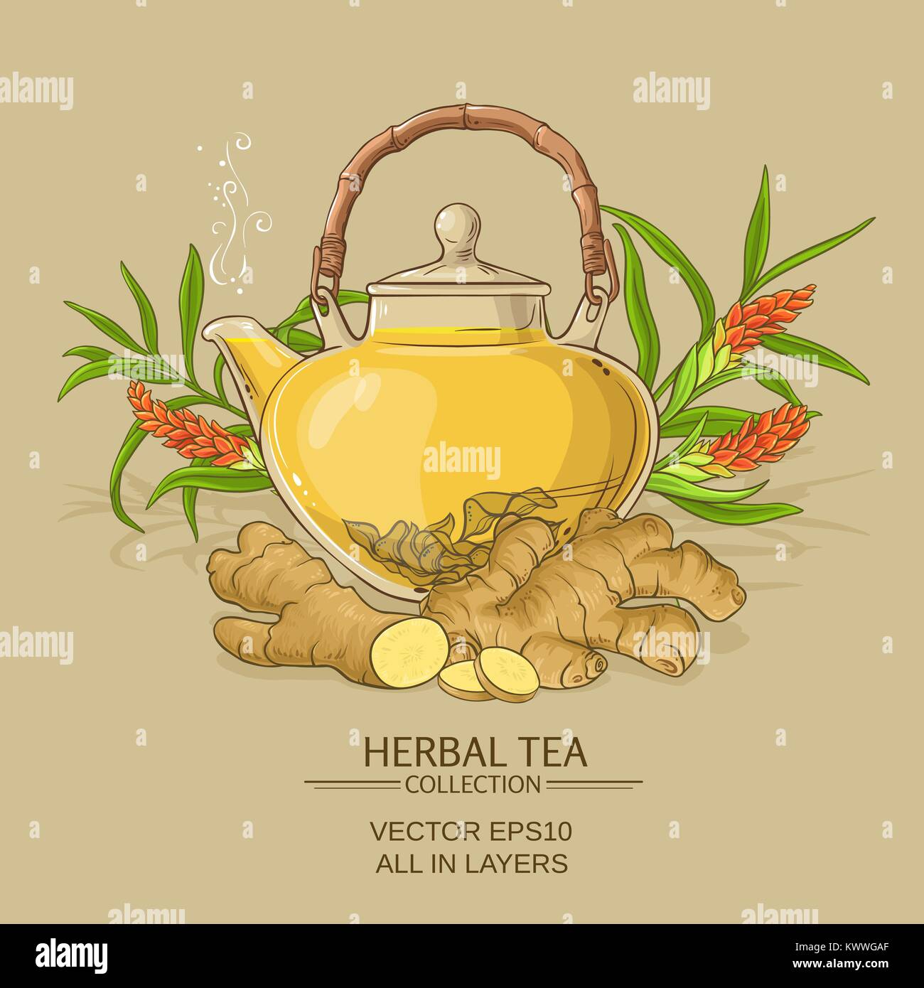 ginger tea vector illustration on color background Stock Vector Image ...