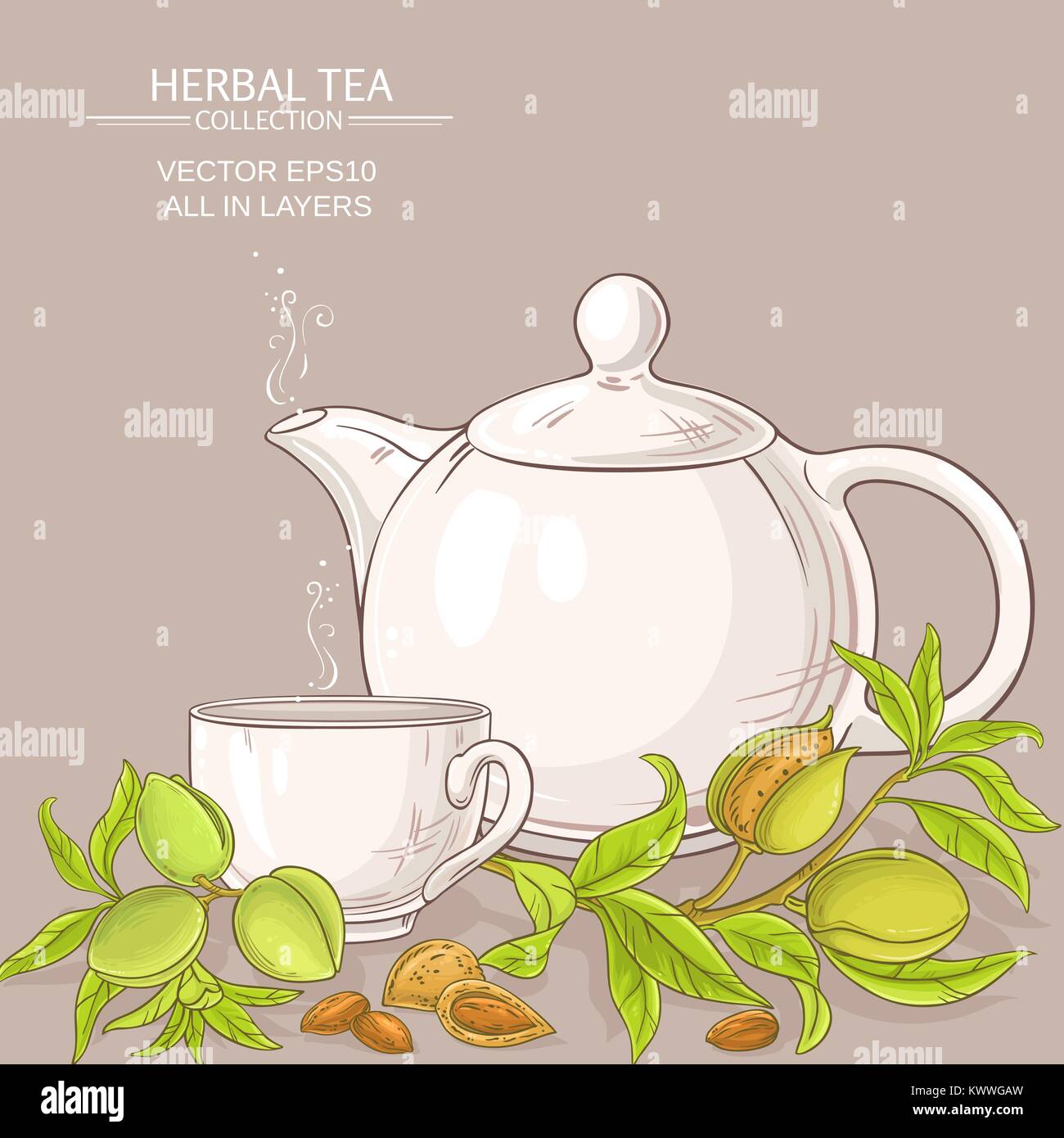 almond tea vector illustration on color background Stock Vector Image ...