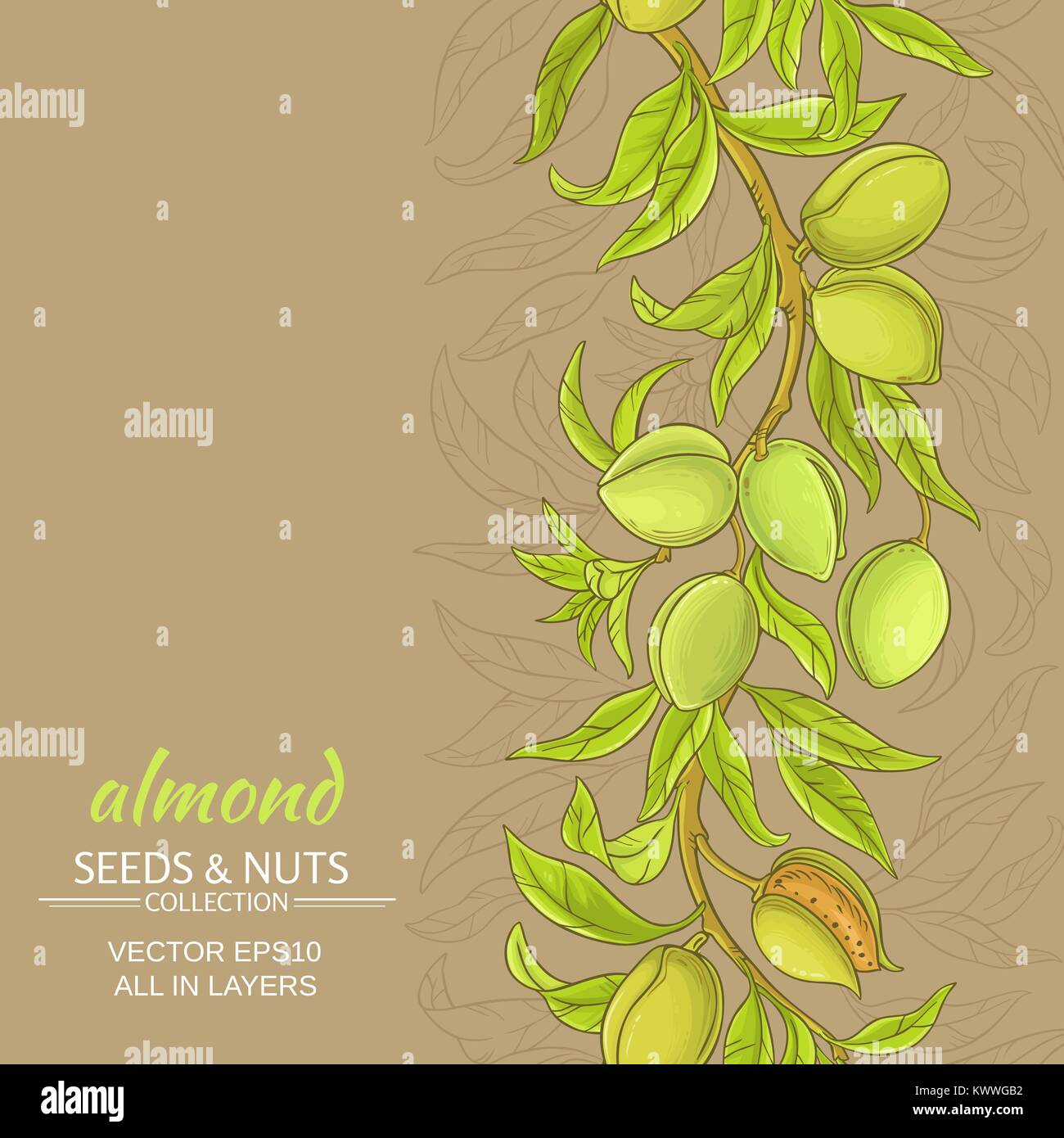 almond branches vector pattern on color background Stock Vector Image ...