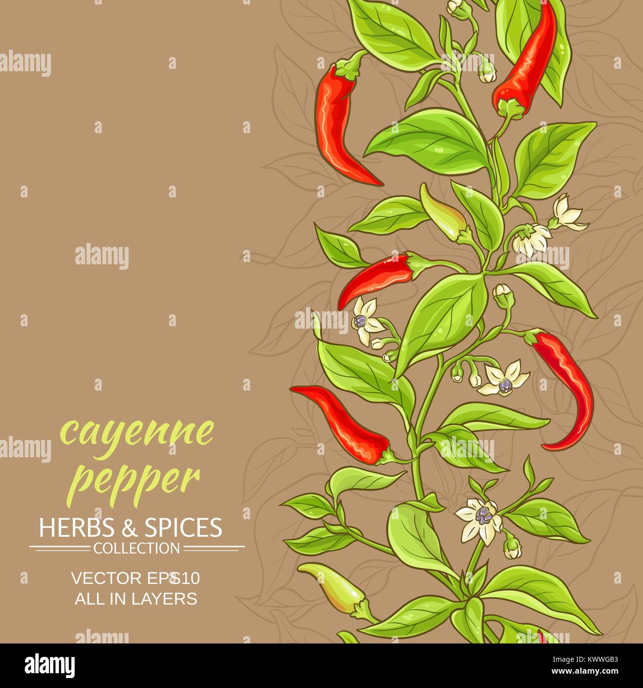 cayenne pepper vector pattern on color background Stock Vector Image ...