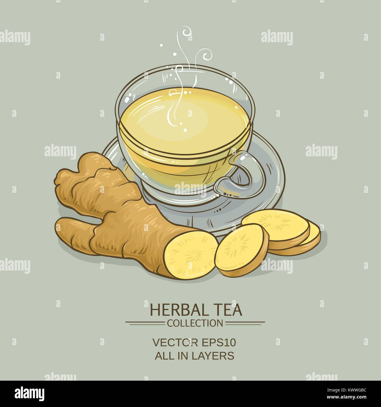 ginger tea vector illustration on color background Stock Vector Image ...