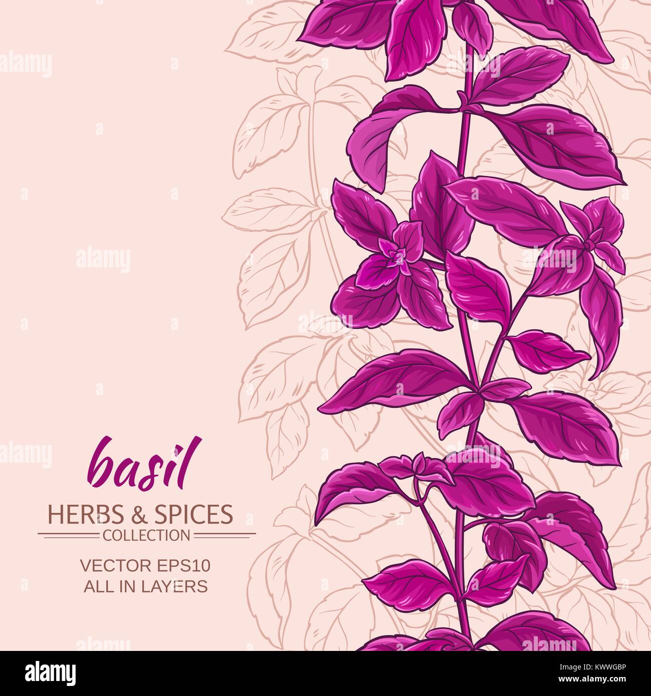 basil leaves vector pattern on color background Stock Vector Image ...