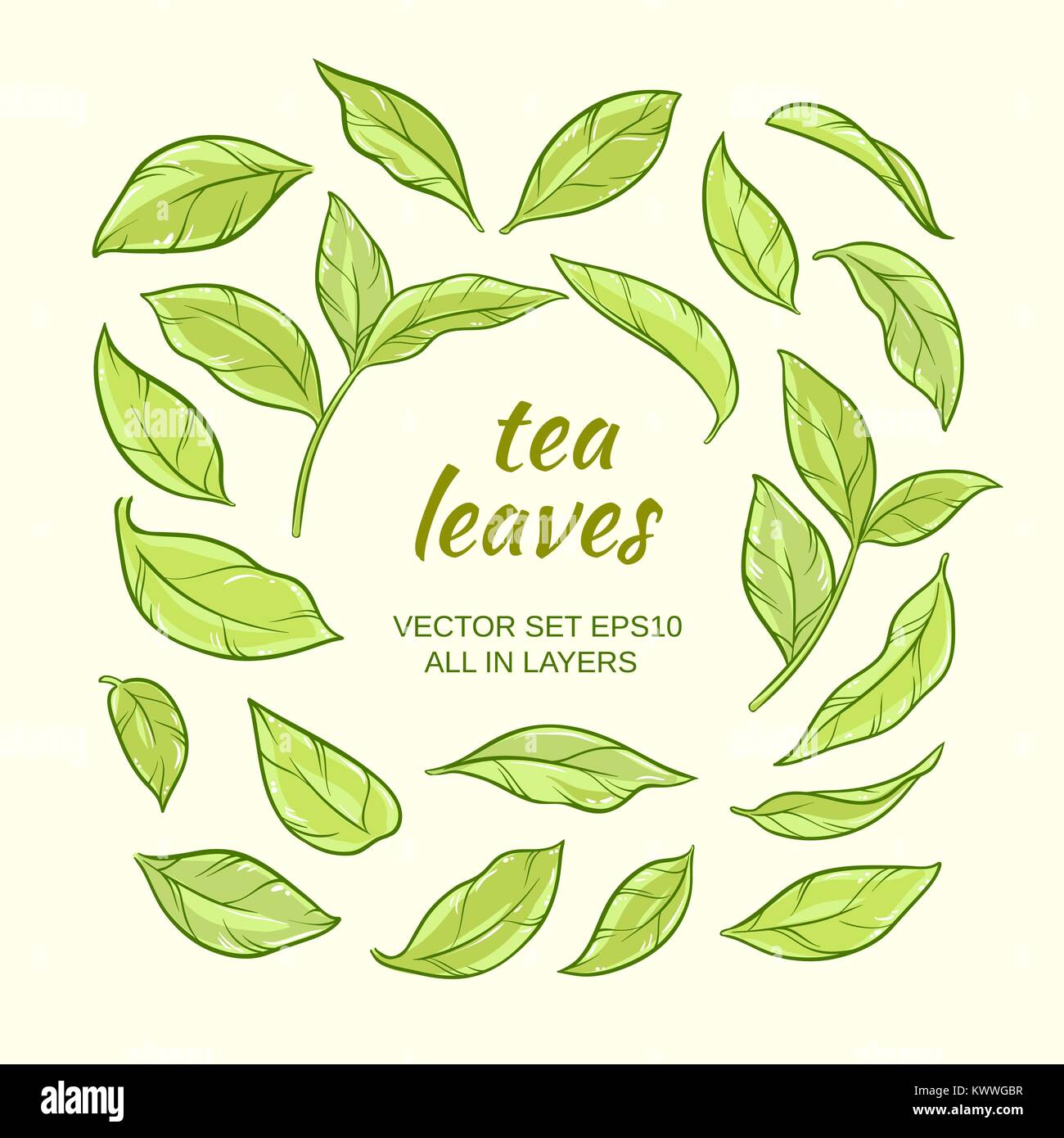 Tea Leaf Drawing