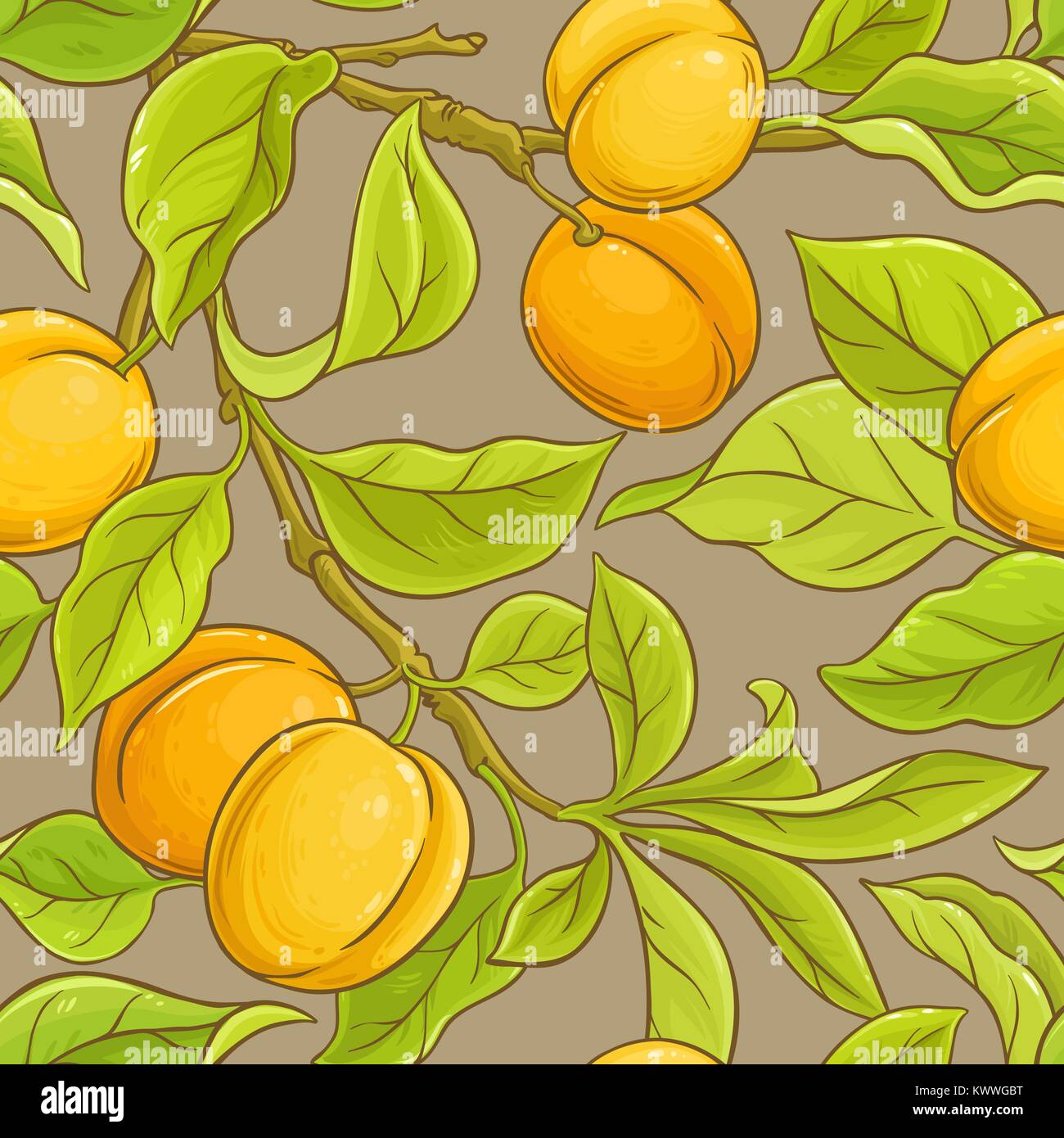 apricot breanch vector pattern on color background Stock Vector Image ...