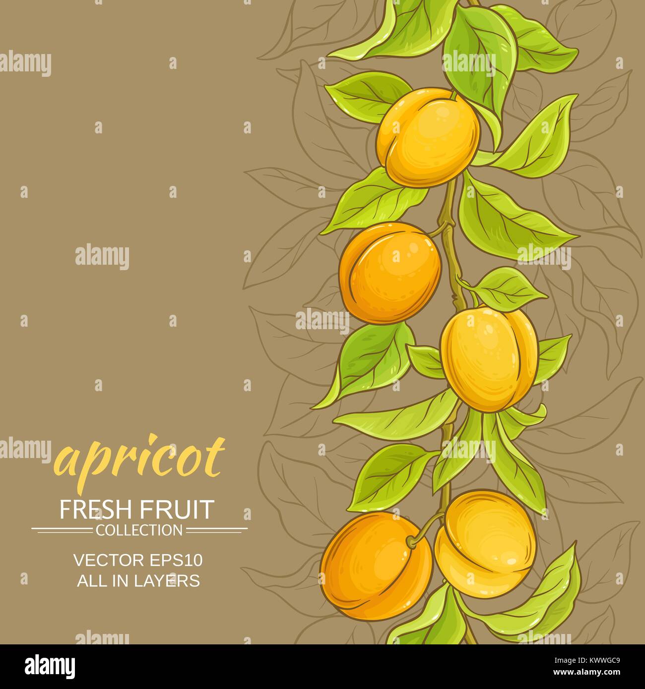 apricot branches vector pattern on color background Stock Vector Image ...