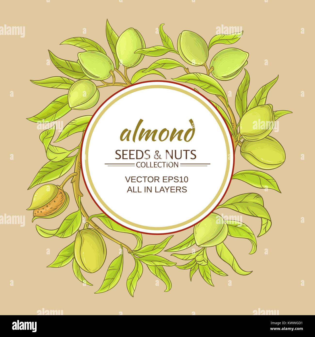 almond branches vector frame on color background Stock Vector Image ...