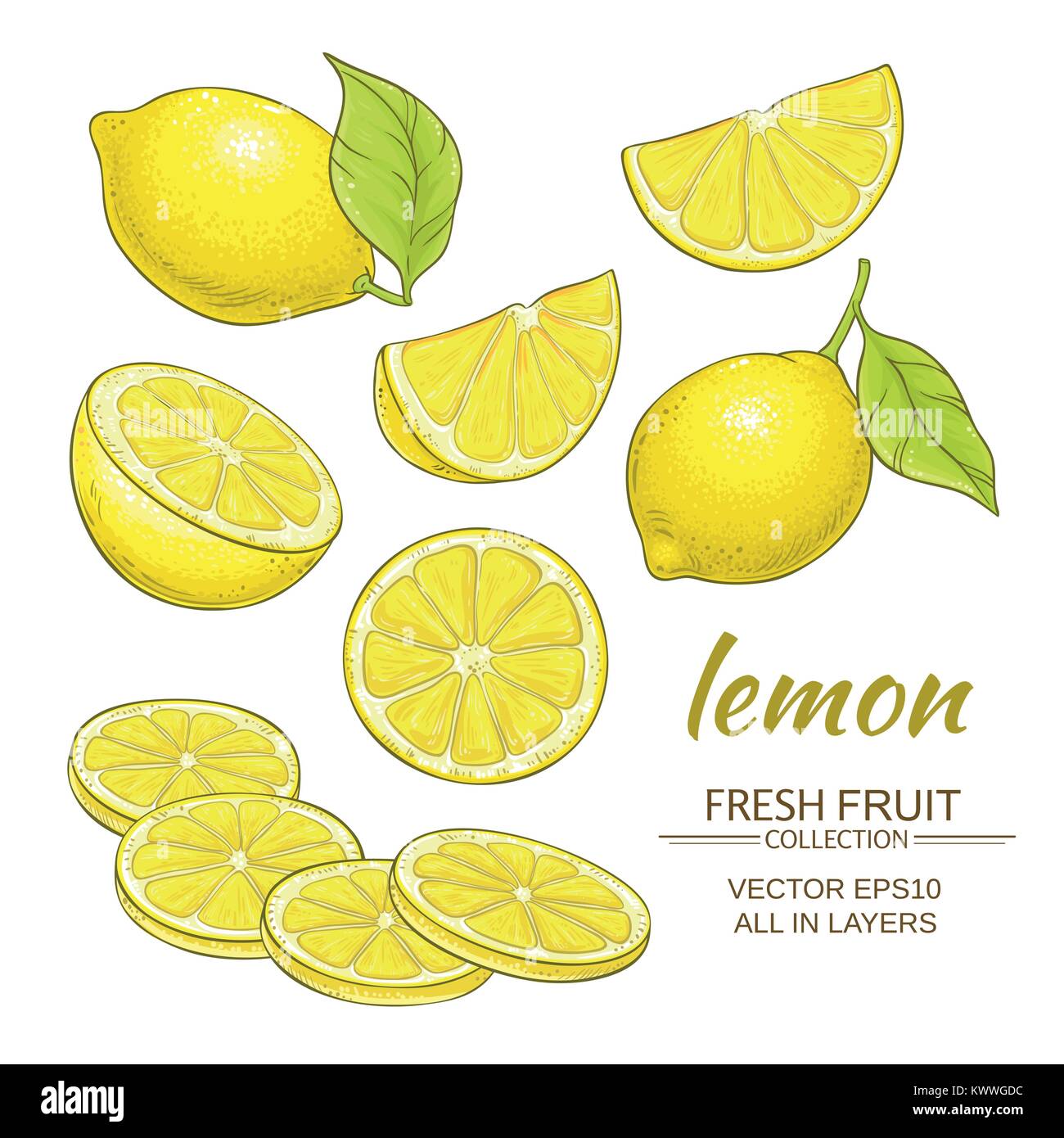 lemon fruit vector set on white background Stock Vector Image & Art - Alamy